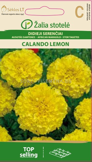 Семена Тагетес CALANDO LEMON/ SK - 0,5 г | Цветя | SortoviSemena.BG