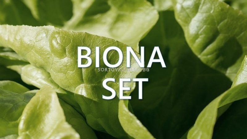 Биона Set | Химични препарати за растителна защита | SortoviSemena.BG