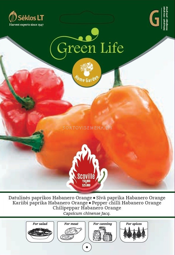Семена чили пипер Хабанеро оранж /PEPPER CHILLI HABANERO ORANGE/ 'SK ...