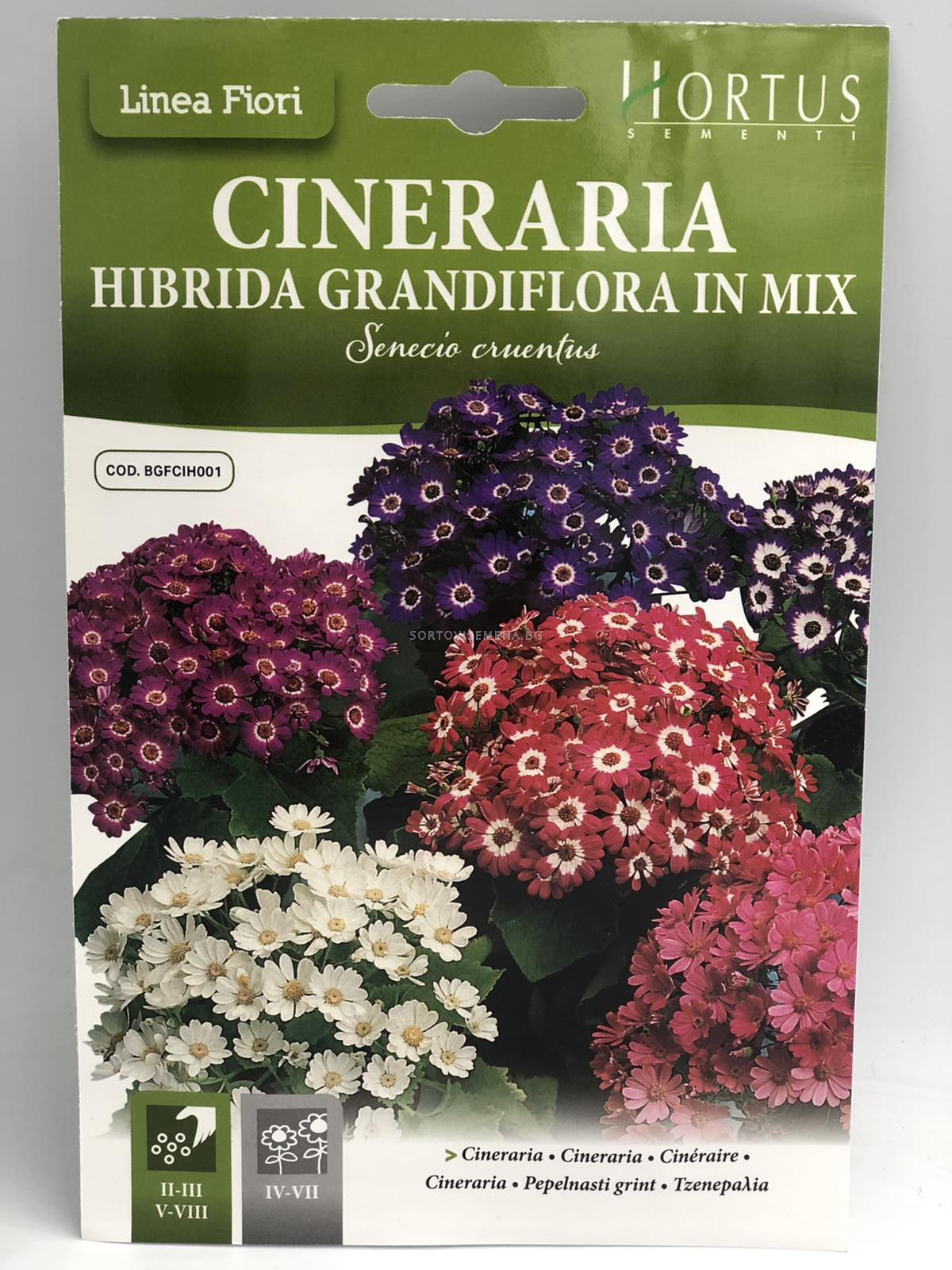Семена Цинерария грандифлора хибридна микс/ Cineraria hibrida | Цветя ...