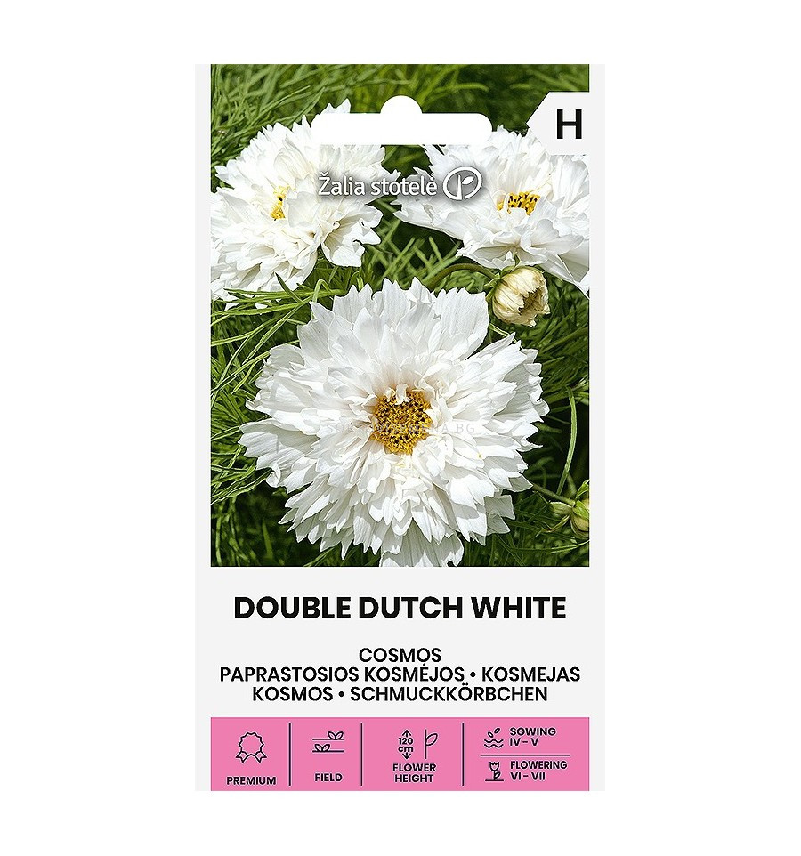 СК СЕМЕНА КОСМОС DOUBLE DUTCH WHITE | Семена за цветя | SortoviSemena.BG