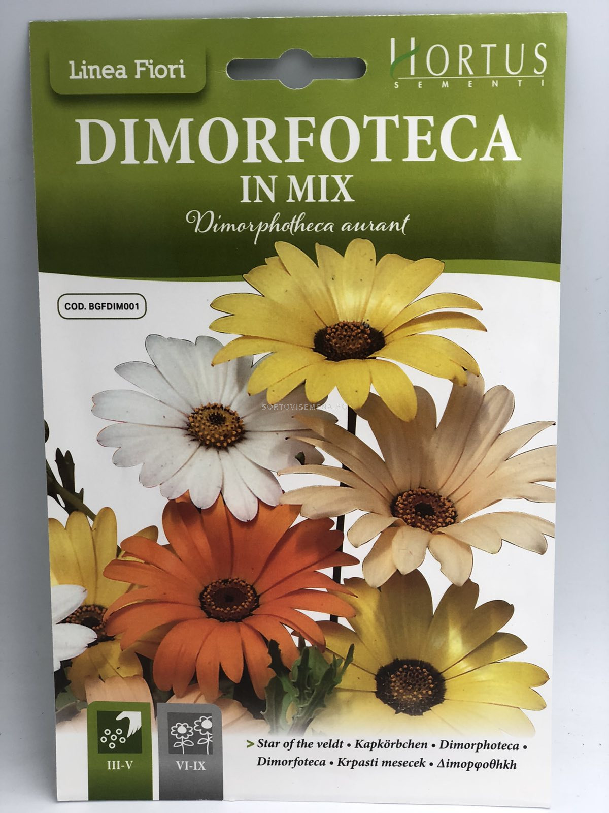 Семена Диморфотека/ Dimorfoteca | Цветя | SortoviSemena.BG