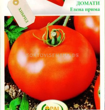 Семена Домати Елена F1 | Домати | SortoviSemena.BG