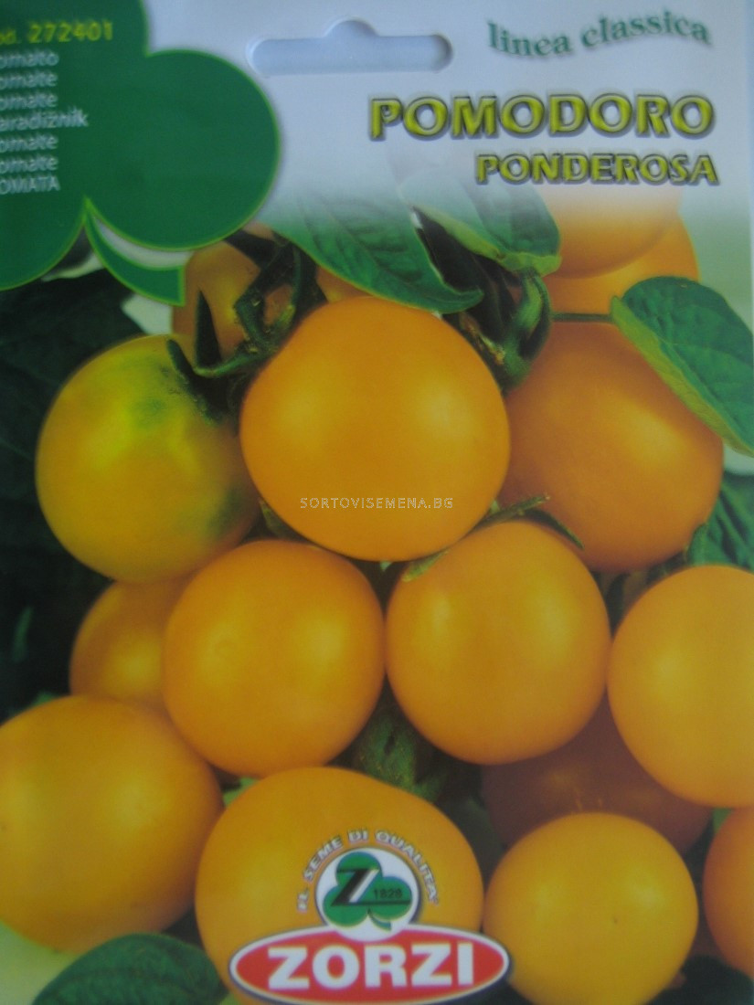 Семена домати Жълто чери - Zorzi | Домати | SortoviSemena.BG