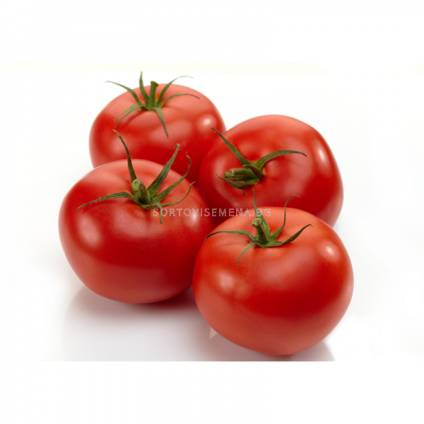 СЕМЕНА ДОМАТИ РЕД БИЙФ 100С EX-TBF04 | Домати | SortoviSemena.BG