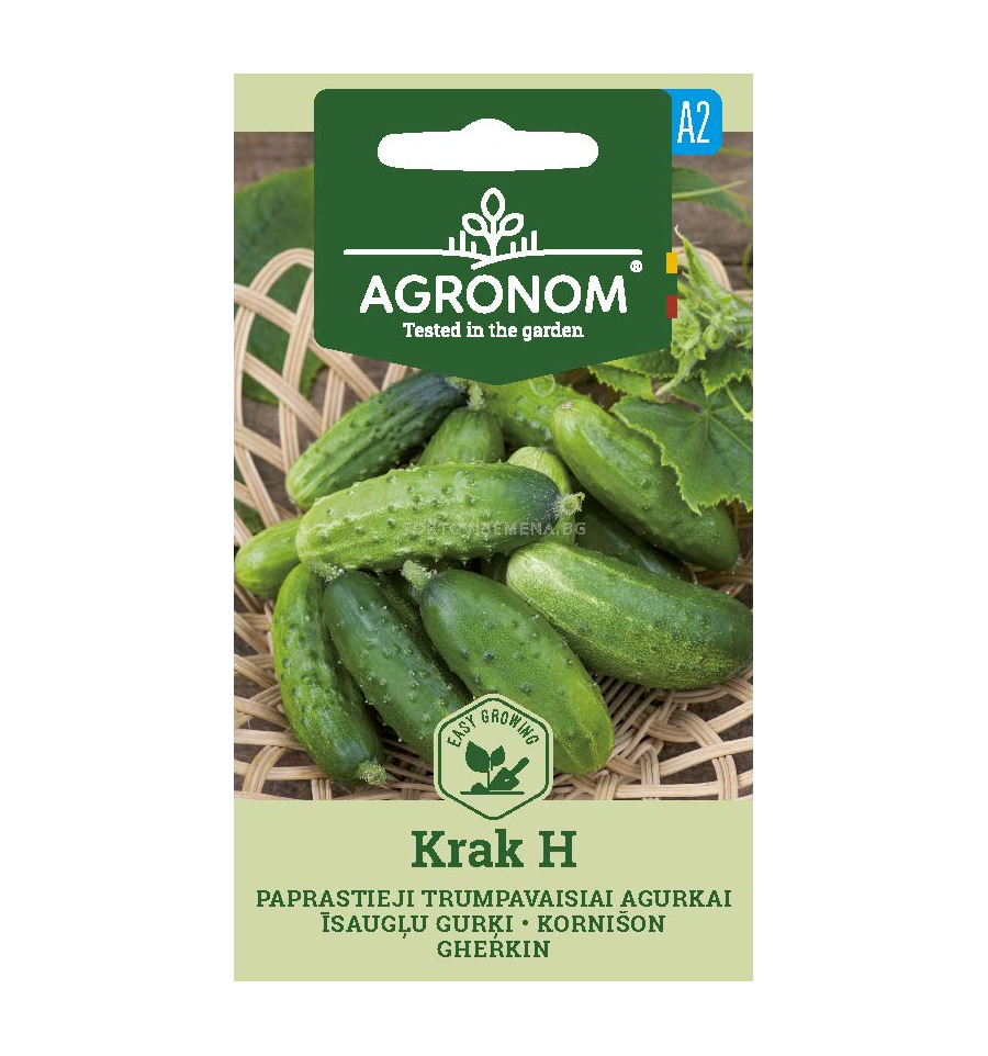 СК СЕМЕНА КОРНИШОНИ КРАК Х CUCUMBER, KRAK H | Корнишони | SortoviSemena.BG