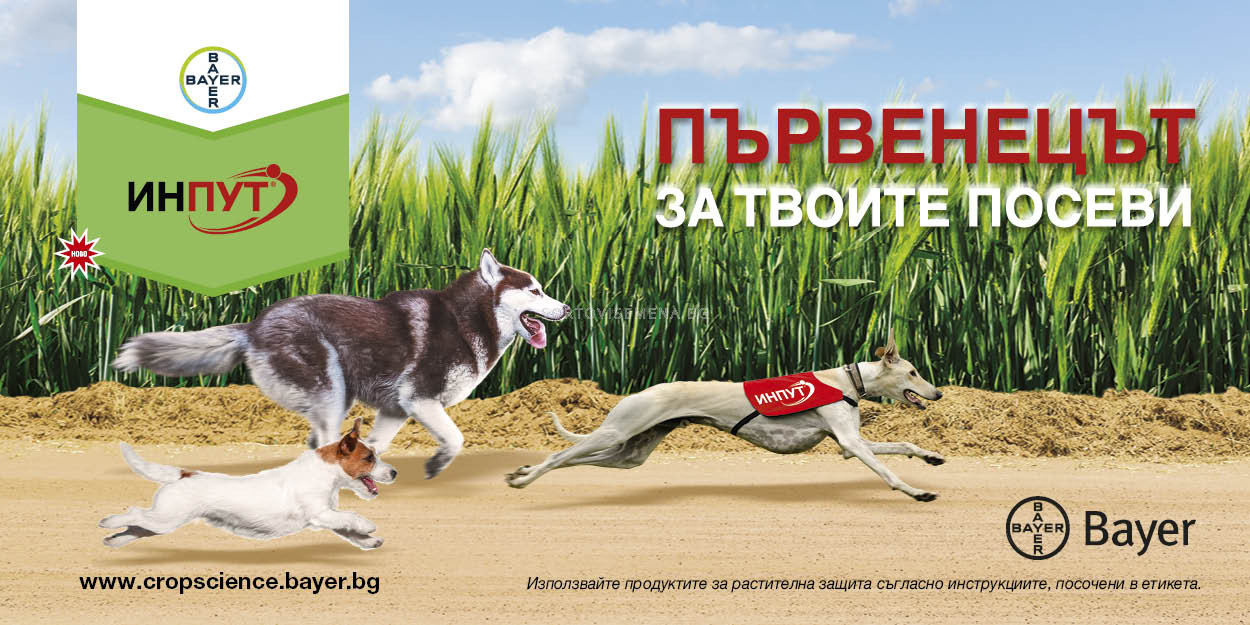 Инпут 5 л | Фунгициди | SortoviSemena.BG