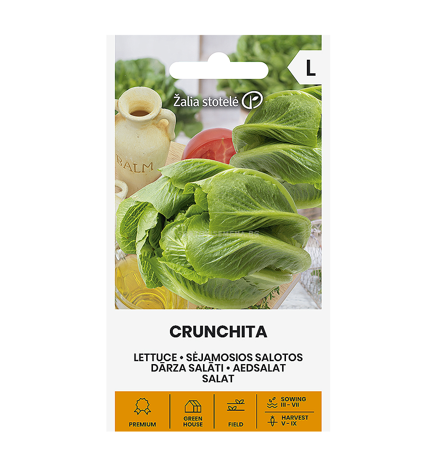 СК СЕМЕНА САЛАТА CRUNCHITA | Салати и листни зеленчуци | SortoviSemena.BG