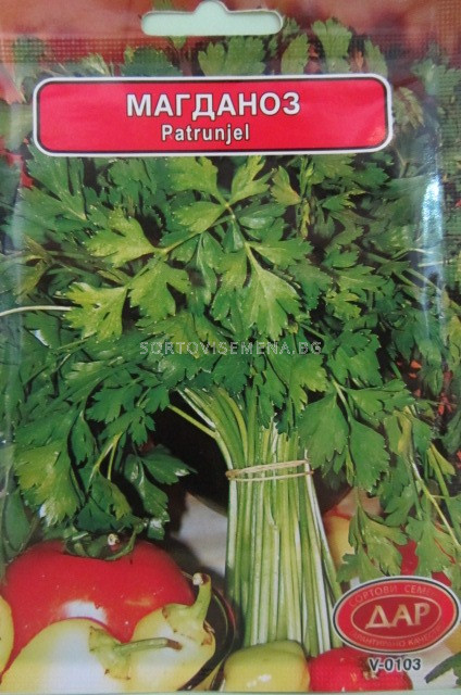 Семена магданоз Фестивал - Дар | Семена за билки и подправки ...