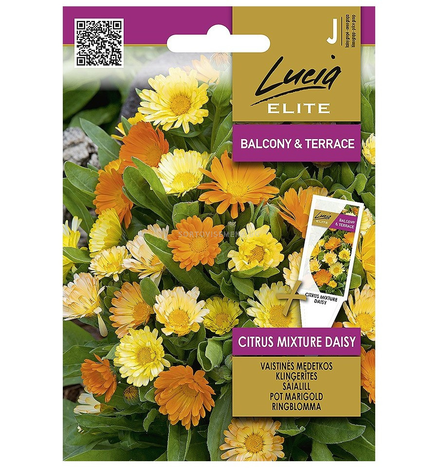 СЕМЕНА НЕВЕН CITRUS MIXTURE DAISY - СК | Семена за цветя | SortoviSemena.BG