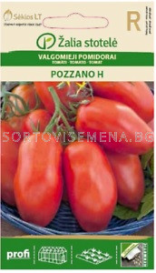 Семена домати POZZANO 'SK хибрид - 7 семена | Домати | SortoviSemena.BG