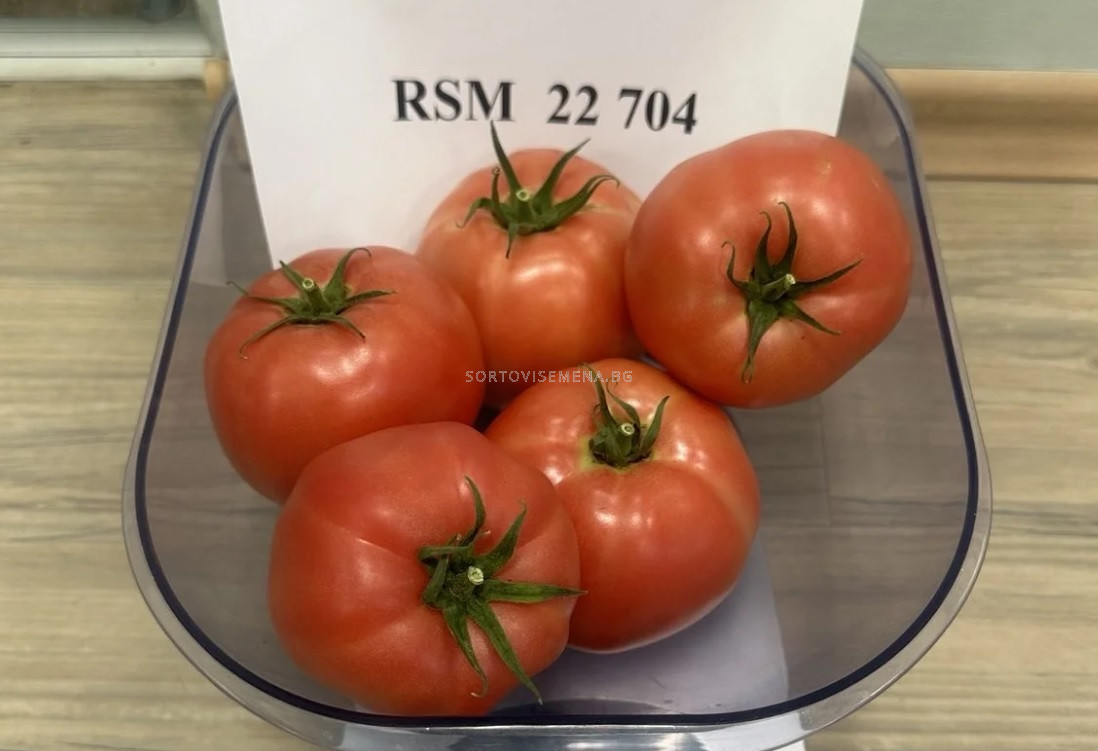 Семена домати RSM 22704 F1 (розов домат) | Домати | SortoviSemena.BG