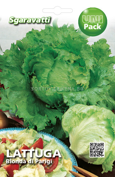 Семена Салата Bionda di Parigi`SG | Салати и листни зеленчуци ...