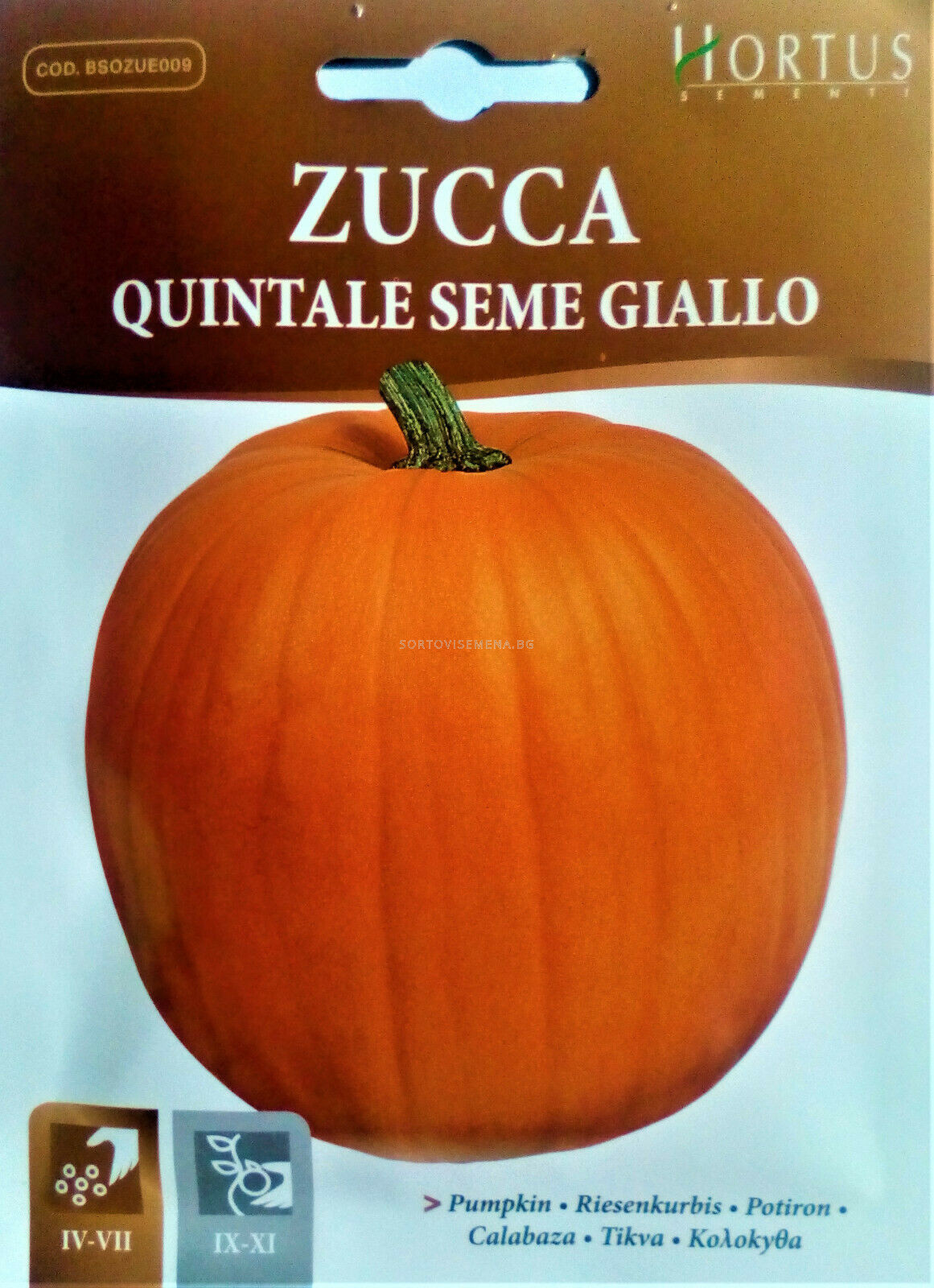 Семена Тиква QUINTALE SEME GIALLO MEGA PACK - BL | Тикви | SortoviSemena.BG