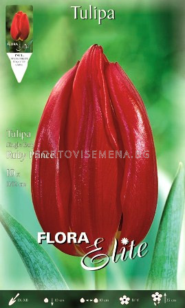 Лале Ruby Prince | Лалета-LSCH | SortoviSemena.BG