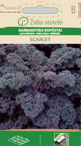 Семена Кейл Скарлет / CURLY KALE, SCARLET / SK -0,5 г | Салати и листни ...