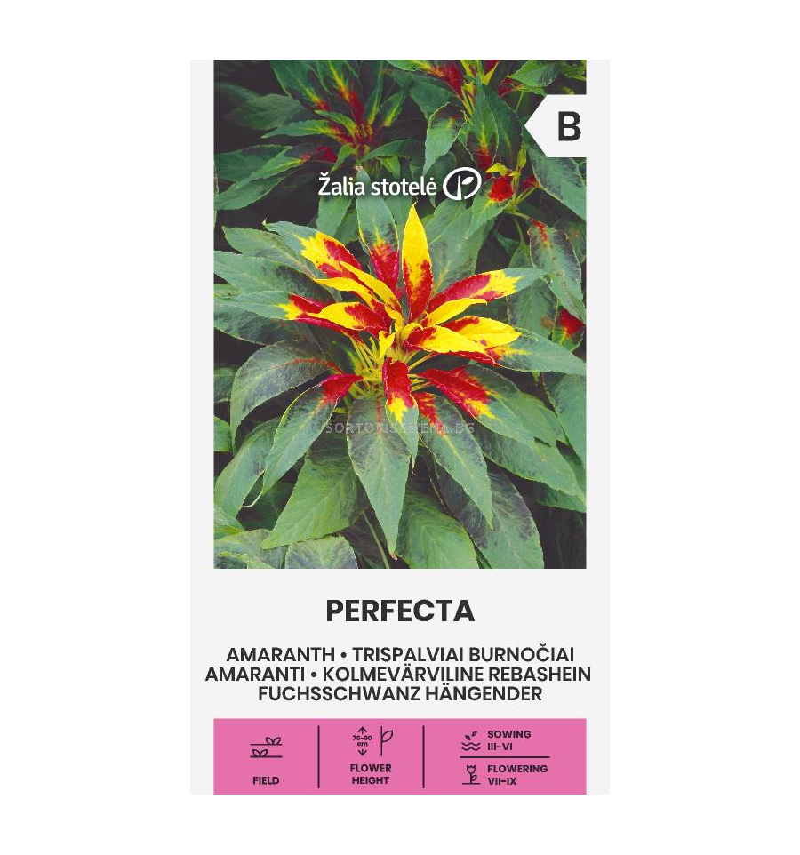СЕМЕНА АМАРАНТ PERFECTA, AMARANTH - 'SK - 0.2 г | Семена за цветя ...