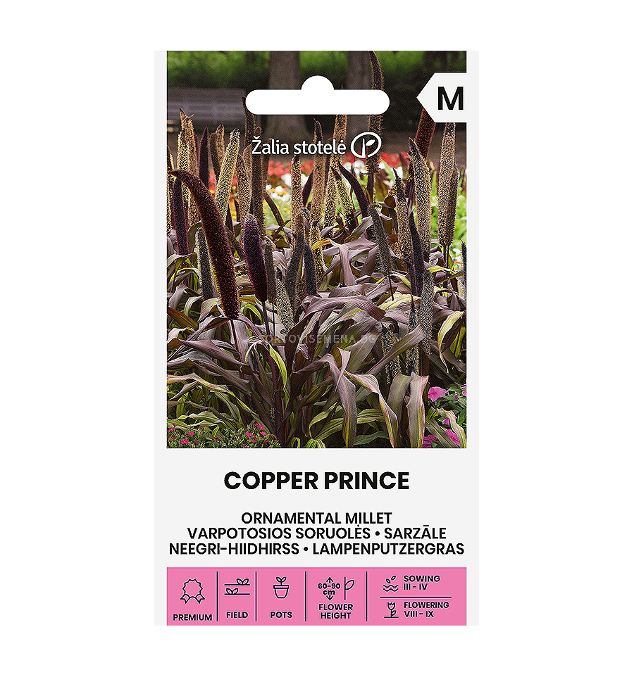 СК СЕМЕНА ПЕРЛЕНО ПРОСО МЕДЕН ПРИНЦ ORNAMENTAL MILLET COPPER PRINCE ...