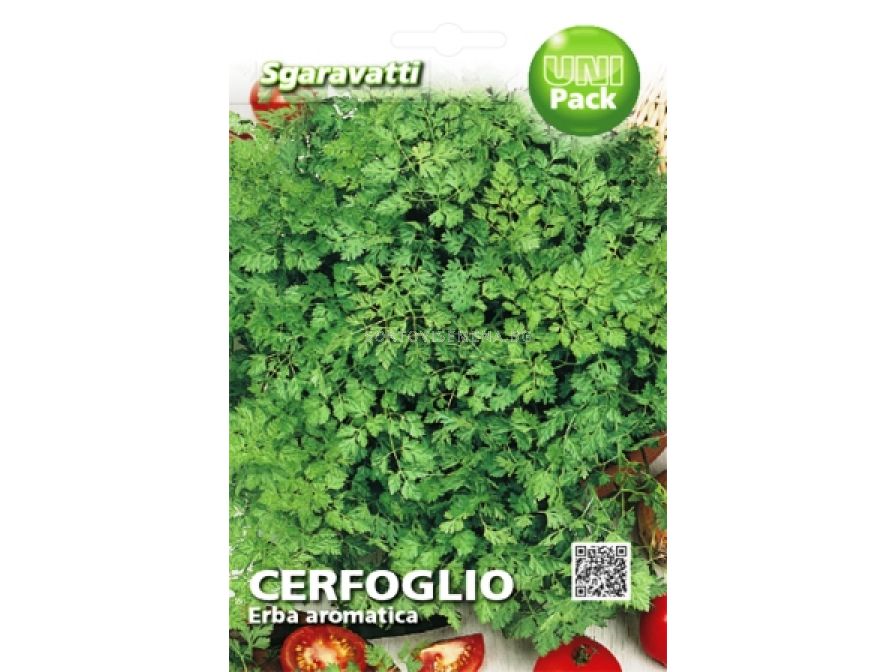 Див керевиз - CERFOGLIO COMUNE "SG | Билки и подправки | SortoviSemena.BG