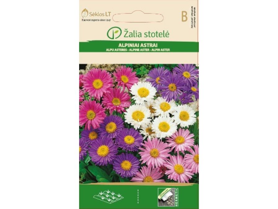 Семена Астра Алпин микс / ASTER ALPINE, MIX/ SK - 0,5 г | Цветя ...