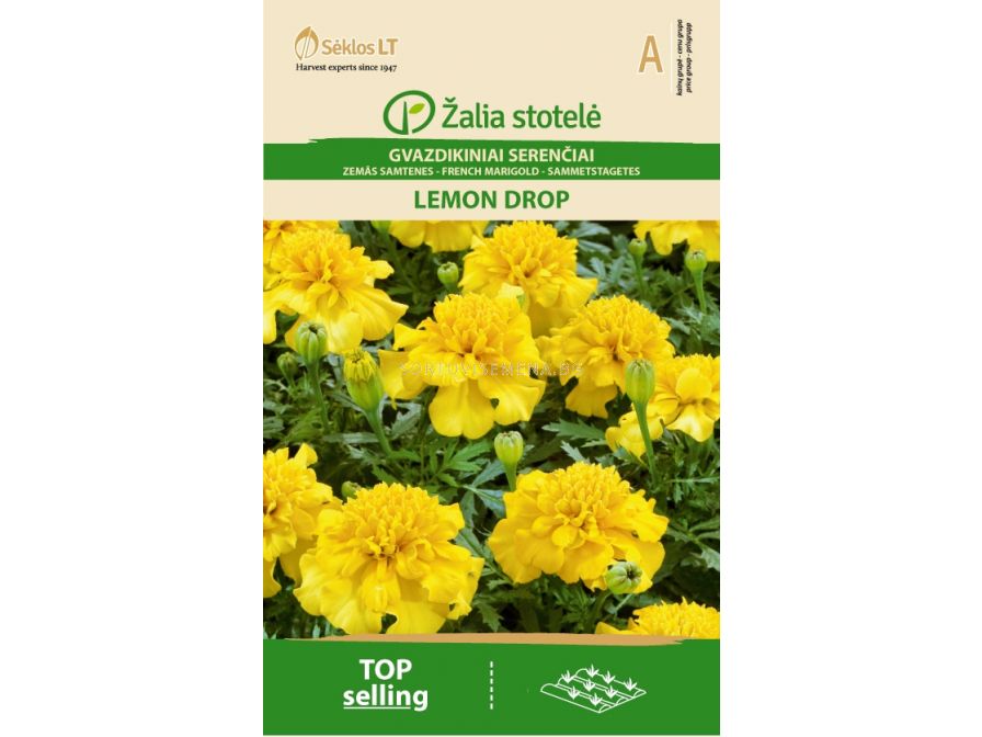 Семена Тагетес жълт Lemon drop /MARIGOLD, FRENCH LEMON DROP/ SK - 1 г ...