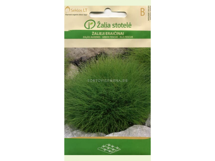 Семена Фестука зелена / FESCUE GREEN / 'SK -1 оп | Семена за цветя ...