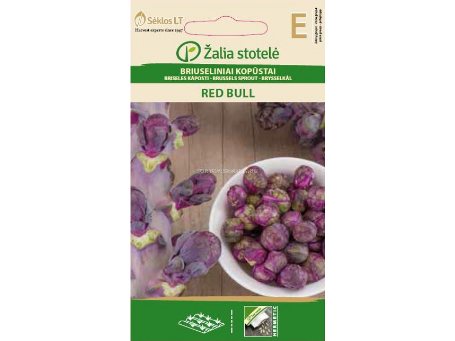 Семена брюкселско зеле Ред Бул (BRUSSELS SPROUT RED BULL)'SK -0,5 г ...