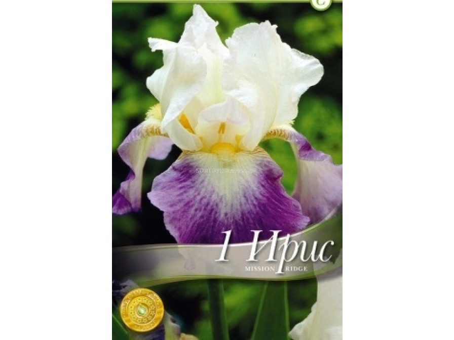 Ирис Germanica Mission ridge - 1бр | Ириси-пролетни - Приемаме ...