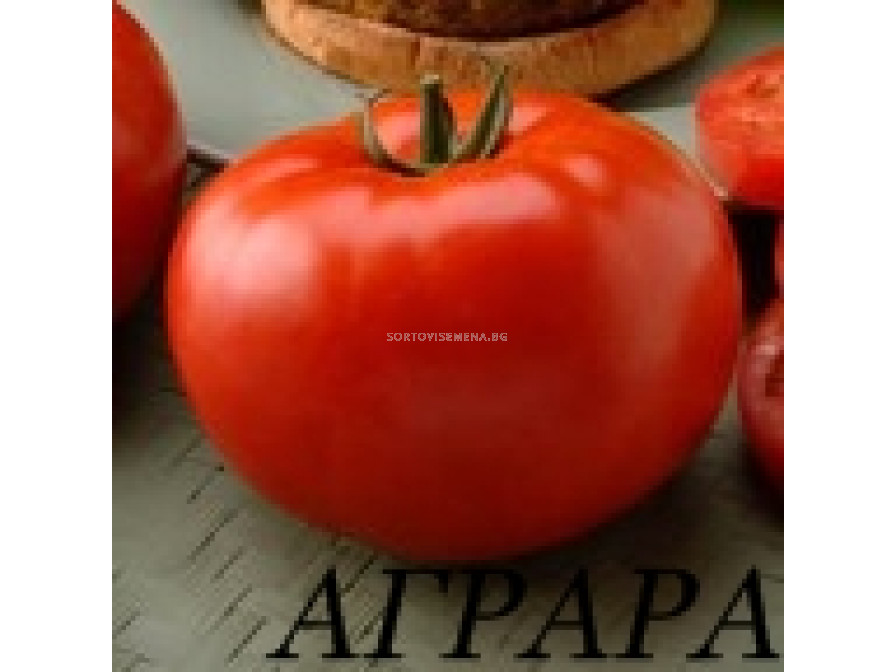 Семена Домати Амати F1 - Tomato Amati F1 - 500 сем | Домати ...