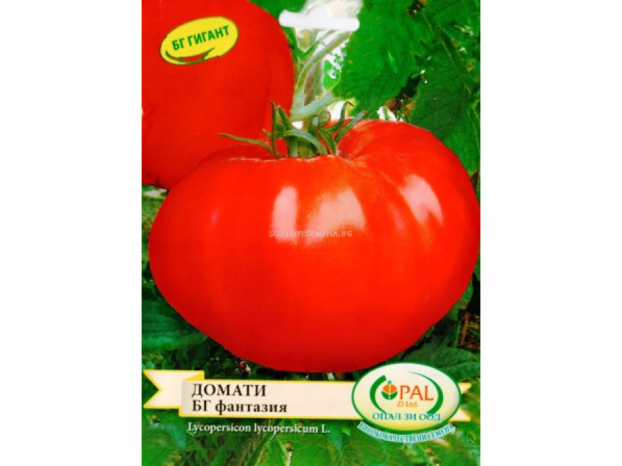 Семена домати Фантазия - 0.2 г | Домати | SortoviSemena.BG