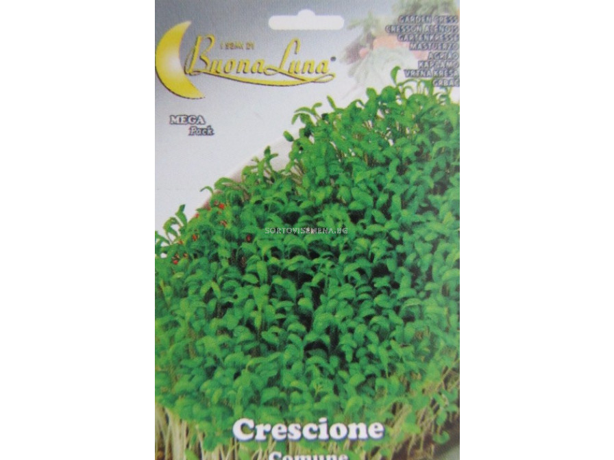 Семена Кресон | Билки и подправки | SortoviSemena.BG