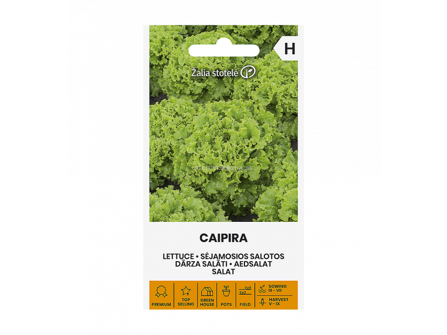 СЕМЕНА САЛАТА CAIPIRA, LETTUCE - 'SK - 20 семена | Салати и листни ...