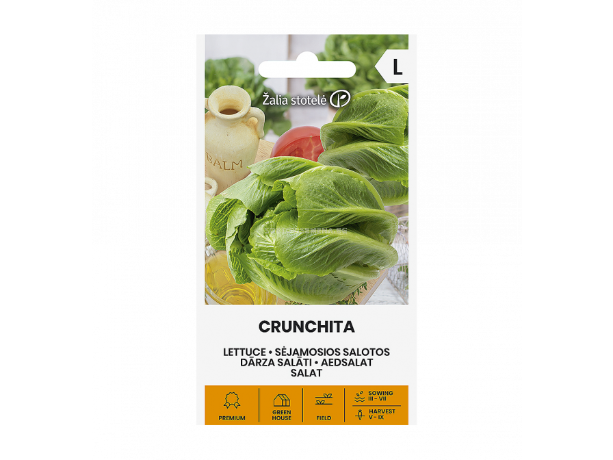 СК СЕМЕНА САЛАТА КРЪНЧИТА LETTUCE CRUNCHITA | Салати и листни зеленчуци ...