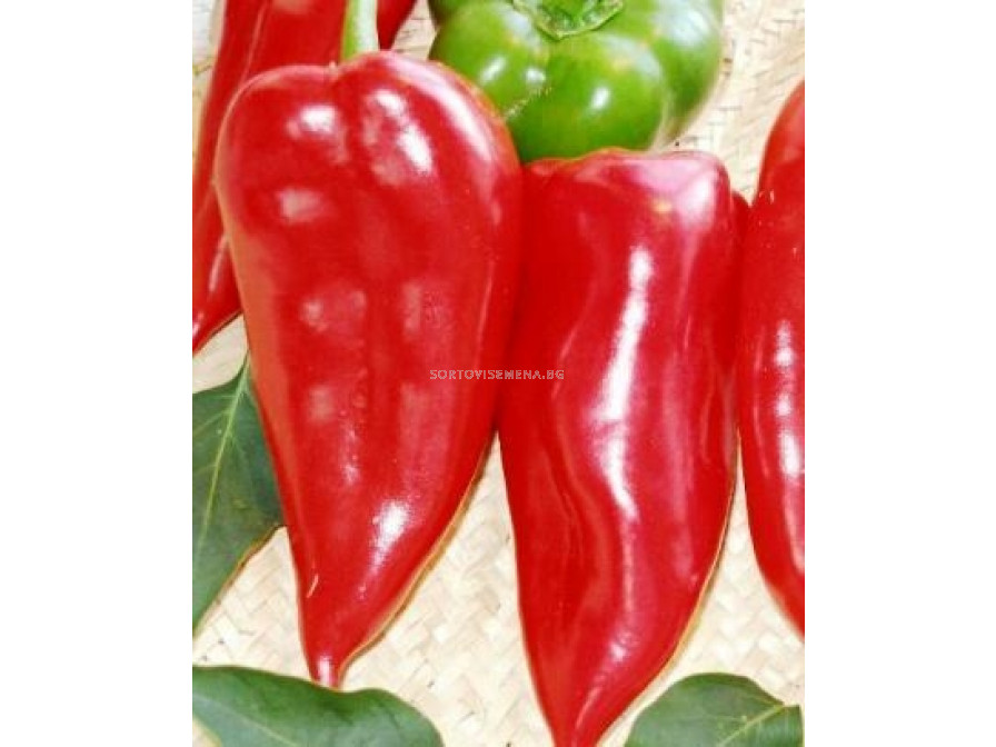 Семена Пипер Паланачко чудо - Pepper Palanachko chudo | Пипер ...