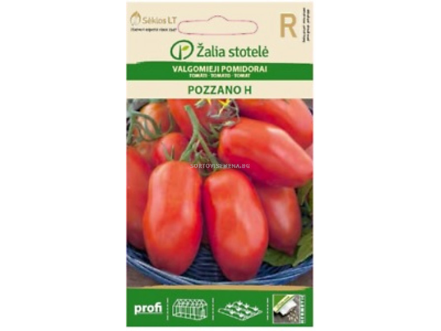Семена домати Позано (TOMATO COUNTRY POZZANO) 'SK хибрид - 7 семена ...